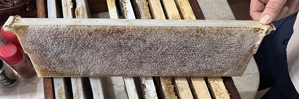 PLASTIC BEE FRAMES - GEM Manufacturers